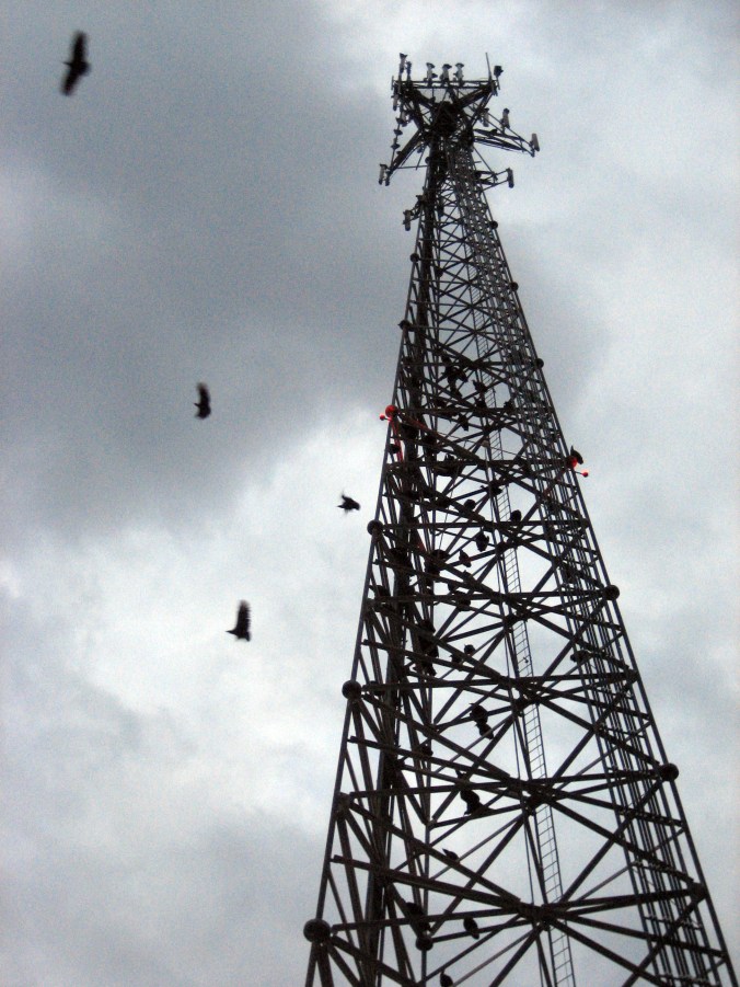 The Limits of Tower Dump Privacy Protections in Canada | Technology ...